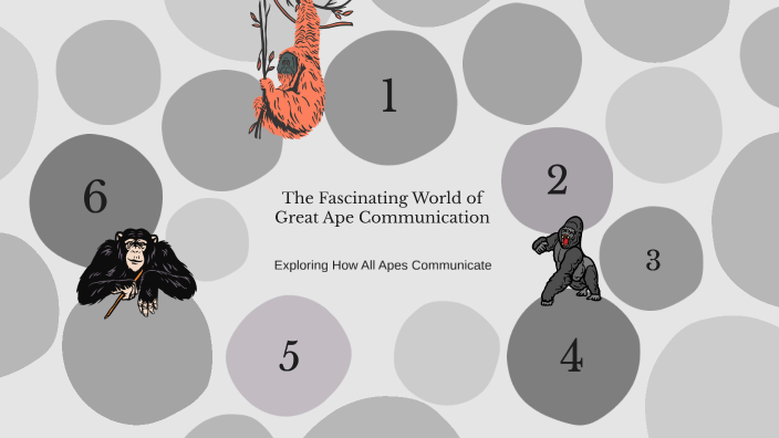 The Fascinating World of Great Ape Communication by Ren Goodier on Prezi