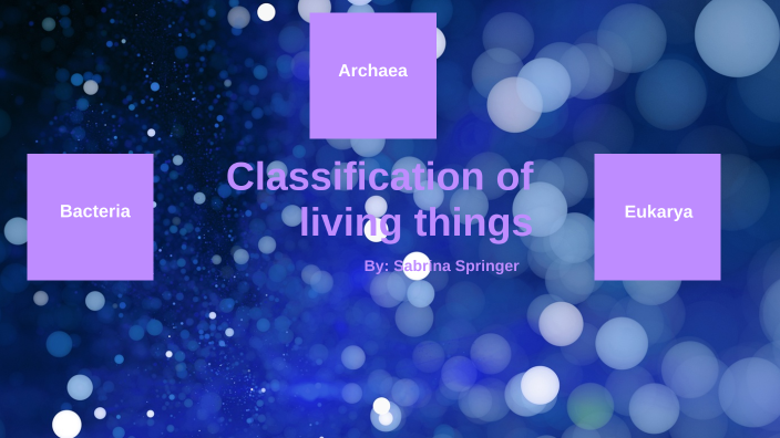 Sabrina Springer Classification by Sabrina Springer on Prezi