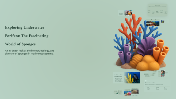 Exploring Underwater Porifera: The Fascinating World of Sponges by ...