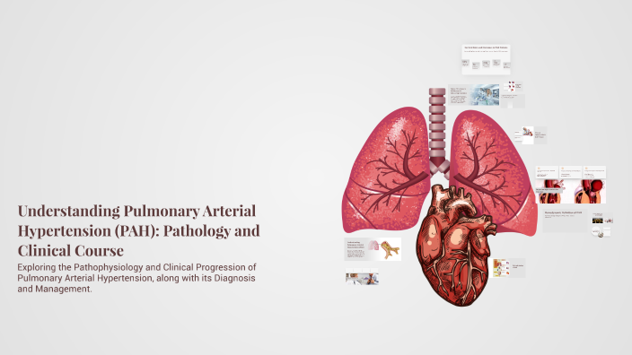 Understanding Pulmonary Arterial Hypertension (PAH): Pathology and ...