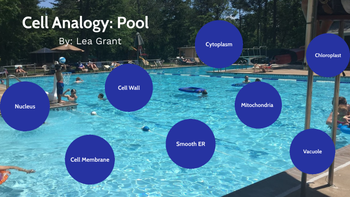 Cell Analogy: Pool by Lea Grant on Prezi
