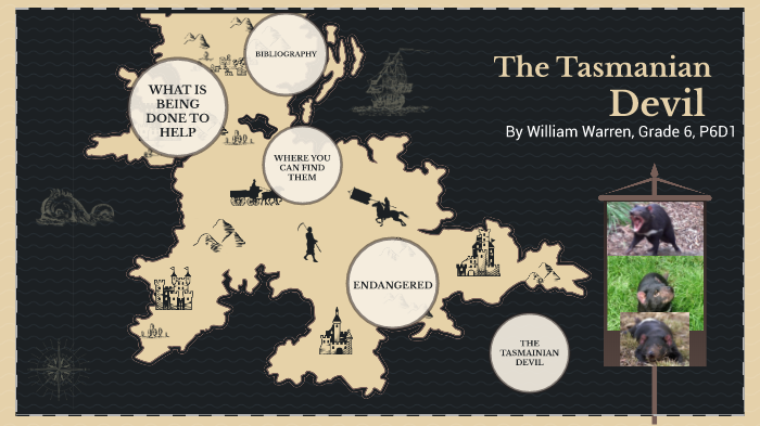 Tasmanian Devil Endangered Species Project by William Warren on Prezi
