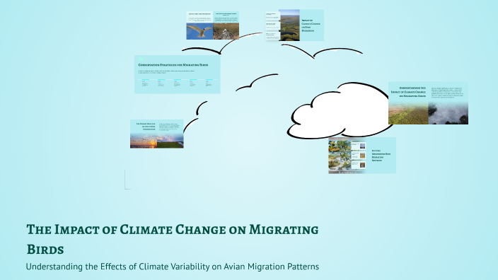 The Impact of Climate Change on Migrating Birds by a bs on Prezi