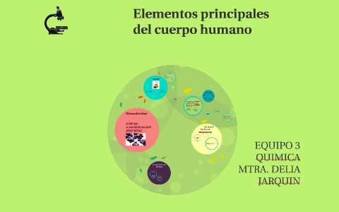Elementos principales del cuerpo humano by jose luis ramos camara on Prezi