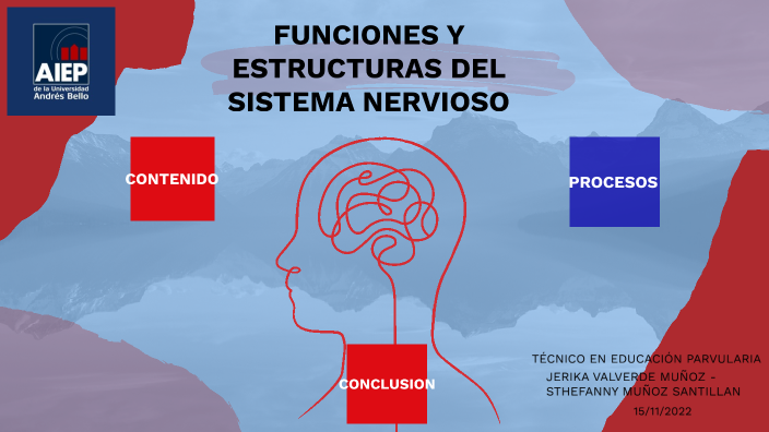 FUNCIONES Y ESTRUCTURAS DEL SISTEMA NERVIOSO by Jerika Valverde Muñoz ...