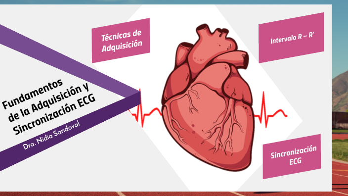 Semana 2. Fundamentos de la Adquisición y Sincronización ECG by Nidia ...