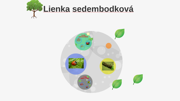 Lienka sedembodková by Daniela Fecková on Prezi