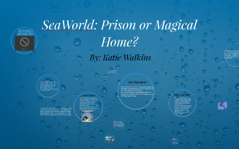 SeaWorld: Prison or Magical Home? by Katie Watkins on Prezi