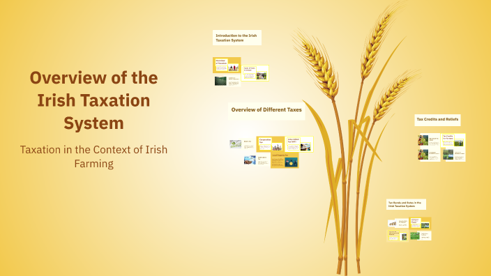 Overview of the Irish Taxation System by conor mulligan on Prezi