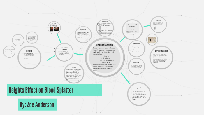 Heights Effect on Blood Splatter by Zoe Anderson on Prezi