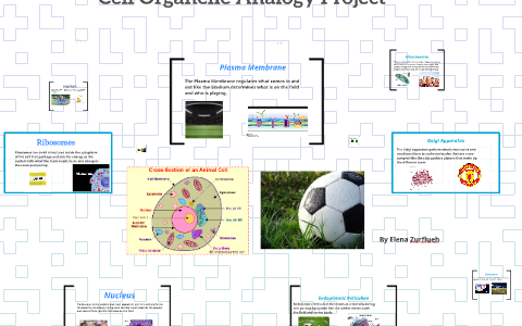 Cell Organelle Analogy Project by Kit Cat on Prezi