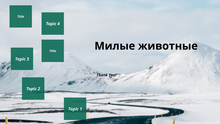 Животные by Ксения Полякова on Prezi