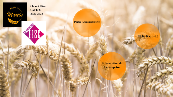 Elisa 2C by elisa chenot on Prezi