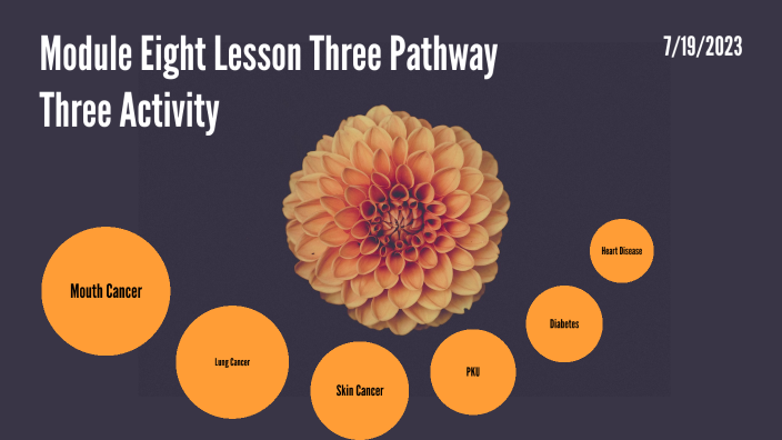 Module Eight Lesson Three Pathway Three Activity by Cassidy Lewis on Prezi