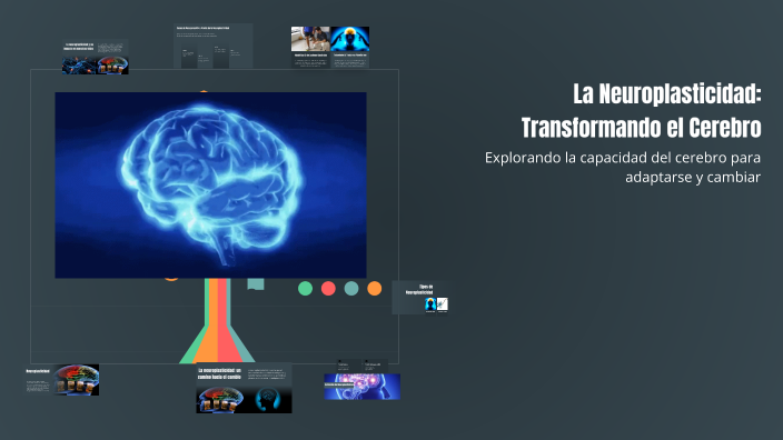 La Neuroplasticidad: Transformando el Cerebro by TERESACARRENO ...