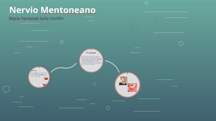 Nervio Mentoniano by Maria Solis on Prezi