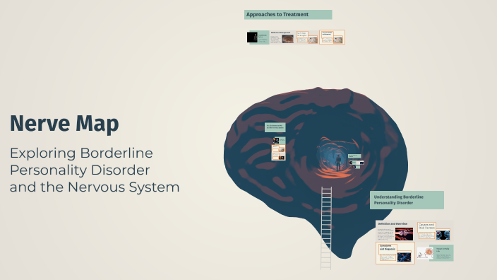 Nerve Map by Hailey Polkinghorne on Prezi