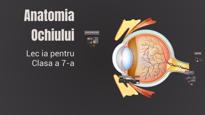 Anatomia Ochiului by radu florica on Prezi