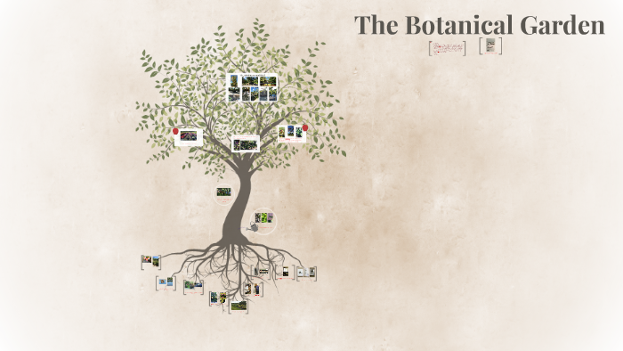 The Botanical Garden by Lily Dempsey on Prezi