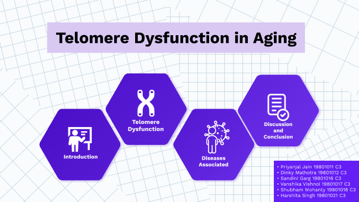Telomere Dysfunction in Aging by Shubham Mohanty on Prezi