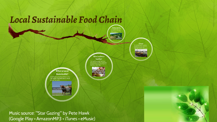Local Sustainable Food Chain by mason spino