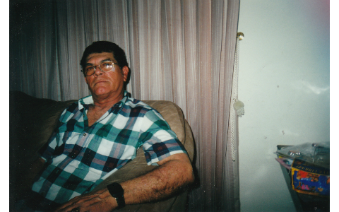 Family Tree by Alonso Cuello