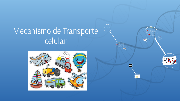 Mecanismo de Transcitosis by Laura Rivera on Prezi