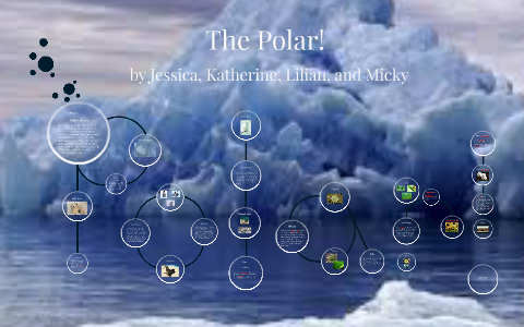 Polar Ecosystem by Lilian X on Prezi