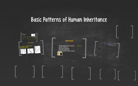 Basic Patterns of Human Inheritance by betty orozco on Prezi