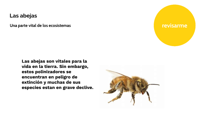 Las abejas by Nelly Joseph Aponte León on Prezi