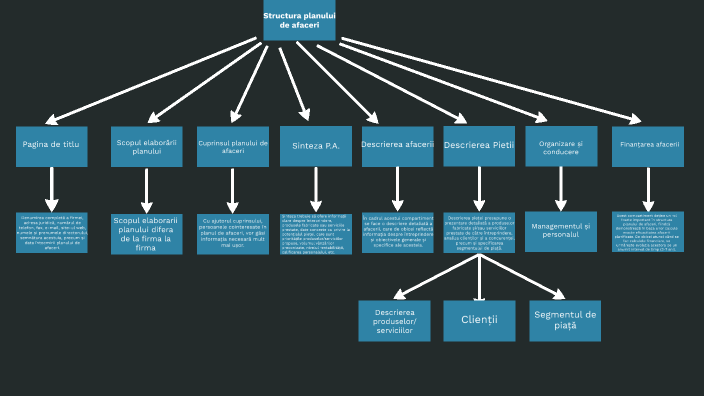 Harta conceptuala - Planul de afaceri by Antonio Gabriel Dragomir on Prezi