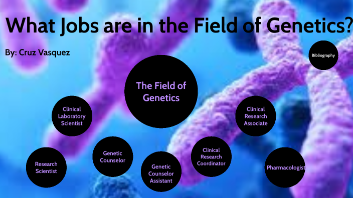 What jobs are in the field of genetics? by Vince Garcia on Prezi