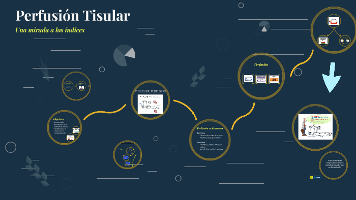 Perfusión Tisular by erika Montanez on Prezi