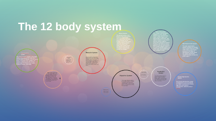The 12 body system by La Htoo on Prezi