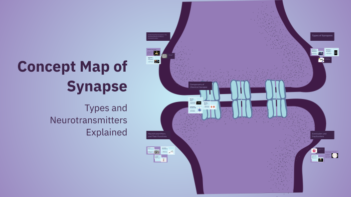 Concept Map of Synapse by Traducciones Adness on Prezi