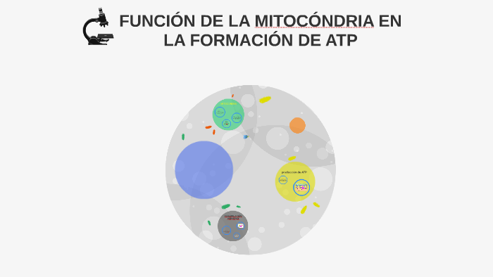 FUNCIÓN DE LA MITOCÓNDRIA EN LA FORMACIÓN DE ATP by ANARELY SANCHEZ ...