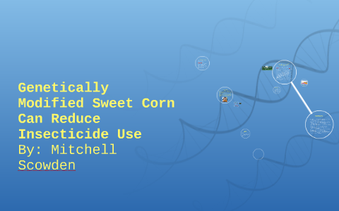 Genetically Modified Sweet Corn Can Reduce Insecticide Use by Mitchell ...