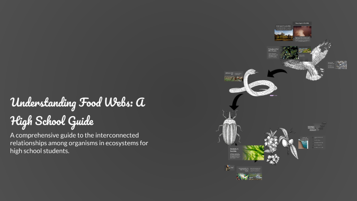 Understanding Food Webs: A High School Guide by Jack Bade on Prezi