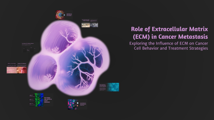 Role of Extracellular Matrix (ECM) in Cancer Metastasis by Jopaayy on Prezi