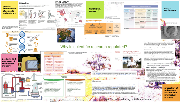 8.2-1 Mind Maps by Bill Matchett on Prezi