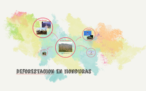 Deforestacion en honduras by Grayson Coleman on Prezi