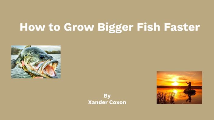 How to Grow Bigger Fish Faster by Xander Coxon on Prezi