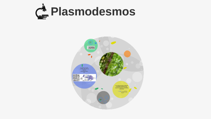 Plasmodesmos by Lupis Meza on Prezi