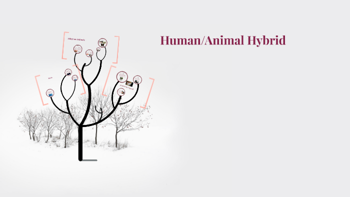 Human/Animal Hybird by Anne Caroline Harris on Prezi