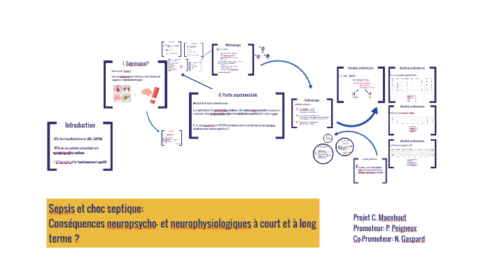 Choc Septique Et Sepsis | Chtoby Pomnili