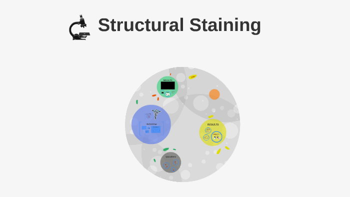 Structural Staining by tazsha dela cruz on Prezi