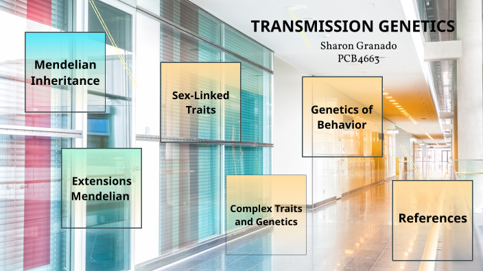 Transmission Genetics by Sharon Granado on Prezi