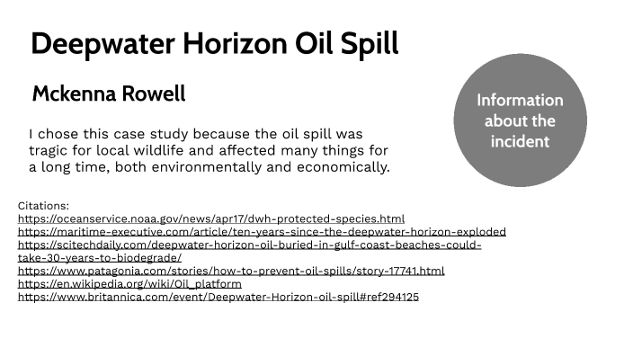 Deepwater Horizon oil spill by Mckenna R