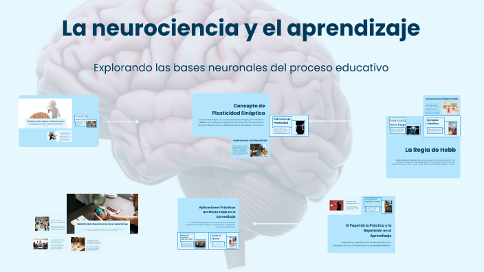 La neurociencia y el aprendizaje by Valeria Revueltas on Prezi