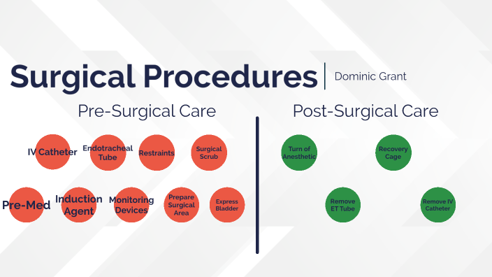 Surgical Procedures Timeline by Dominic G on Prezi